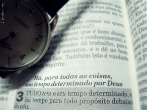 TEMPO PARA TODAS AS COISAS