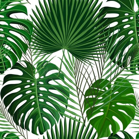 Modelo Inconsútil Tropical Con Las Hojas De Palma Exóticas Ilustración