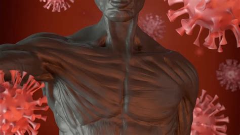CORONAVIRUS NON Solo POLMONITE Ecco QUALI Sono TUTTI Gli ORGANI