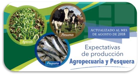 Expectativas de producción agropecuaria y pesquera 2018 Servicio de