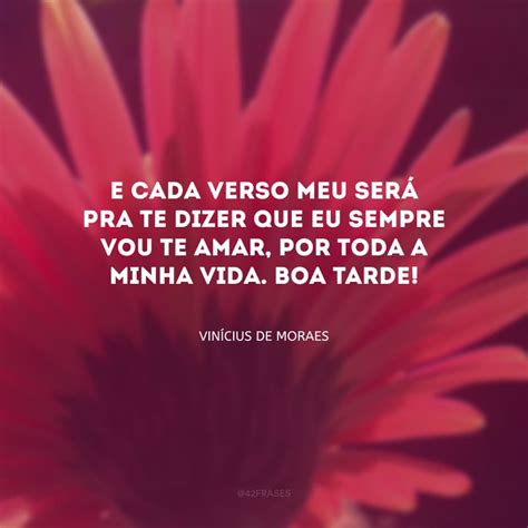 70 frases lindas de boa tarde para animar o dia beleza e esperança