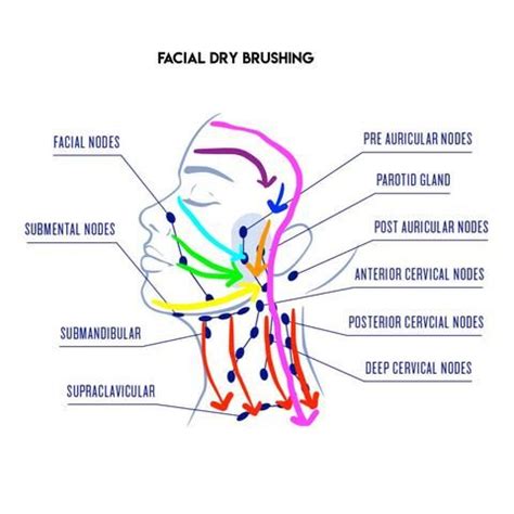 Massage Facial Glands Telegraph