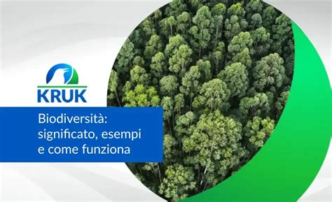 Biodiversità significato esempi e come funziona KRUK Italia