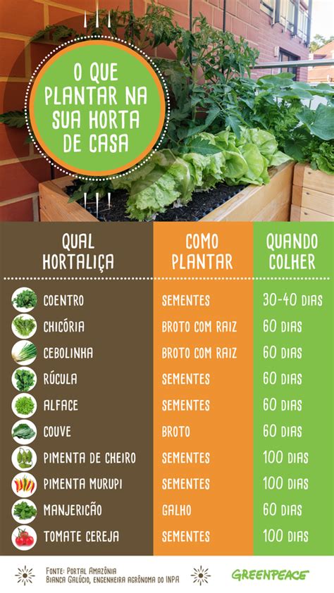 Horta em casa uma conexão a natureza durante o isolamento