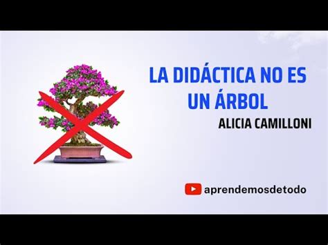 La Didáctica NO es un árbol Alicia Camilloni YouTube