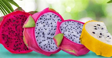 Cuáles son los beneficios de la pitaya y por qué deberías consumirla