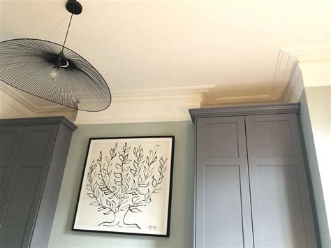 Dulux Tranquil Dawn 45GY 55 052 Paint Color