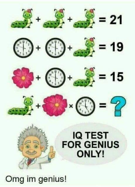 Test Of Genius Math Worksheet