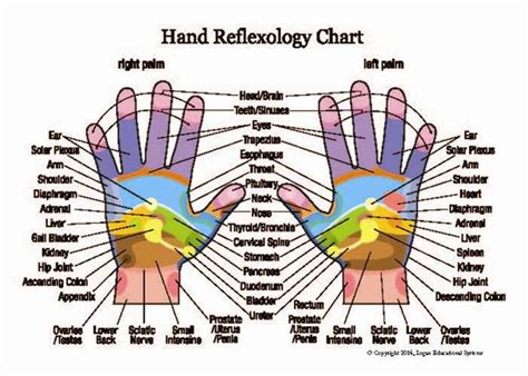 Foot And Hand Reflexology Chart Printables
