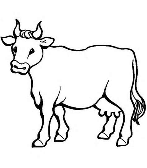 35 Desenhos de Fazendinha para Colorir Pintar Grátis