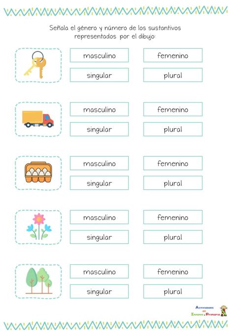Sustantivos Genero Y Numero Ficha Interactiva Sustantivos Adjetivos Y