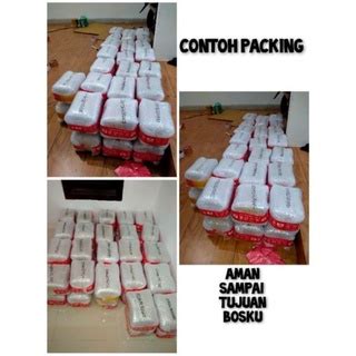 Jual BIBIT SAWIT LONSUM LONDON SUMATRABENIH KECAMBAH POLONG KELAPA