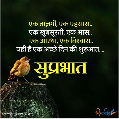 Hindi Good Morning Quotes Status And Quotes Hindi Good Morning Quotes