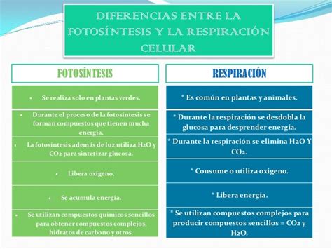 Fotosíntesis y Respiración Celular Diferencias en Cuadros Comparativos
