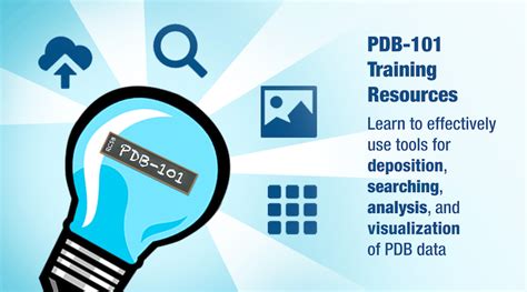 PDB 101 Train All Training Courses
