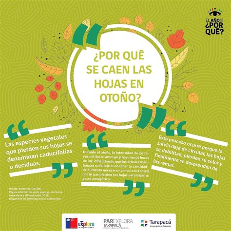 Details 48 porque se le caen las hojas a los árboles Abzlocal mx