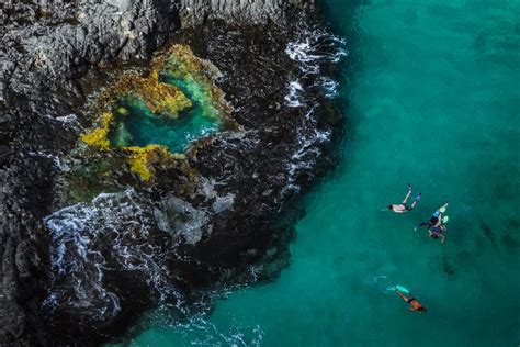 Os Melhores Passeios Em Fernando De Noronha Atualizado 2023
