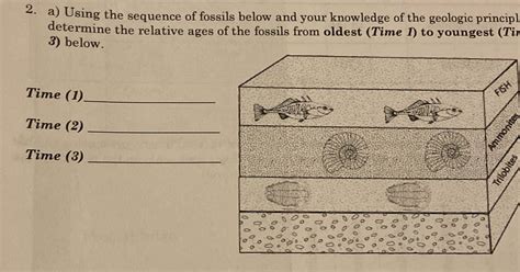 [solved] 2 a using the sequence of fossils below and your knowledge of the course hero