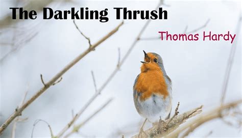 The Darkling Thrush Summary And Analysis JavaTpoint