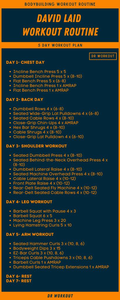 David Laids Workout Routine Dr Workout