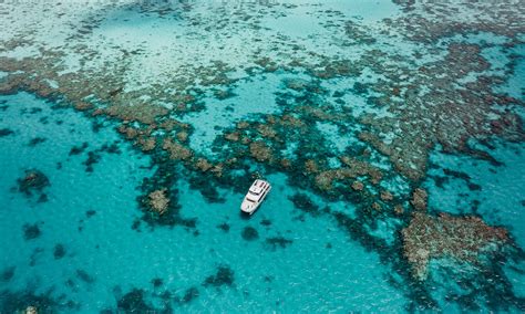 We Went To The Great Barrier Reef To Assess The Damage Here S What We