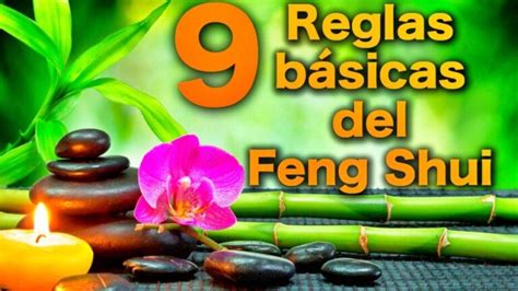 Cómo aplicar los principios del feng shui en el hogar Guía completa
