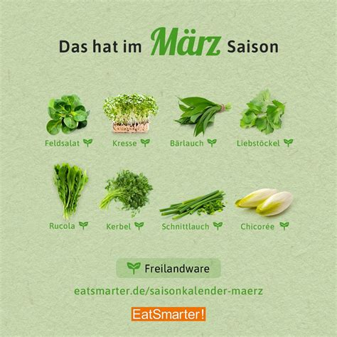 Bärlauch Rhabarber Spinat Saisonkalender obst und gemüse