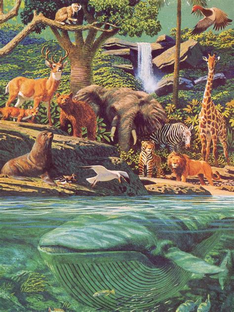 La Historia de la Creación Génesis 1 2 Mundo Bíblico El Estudio de