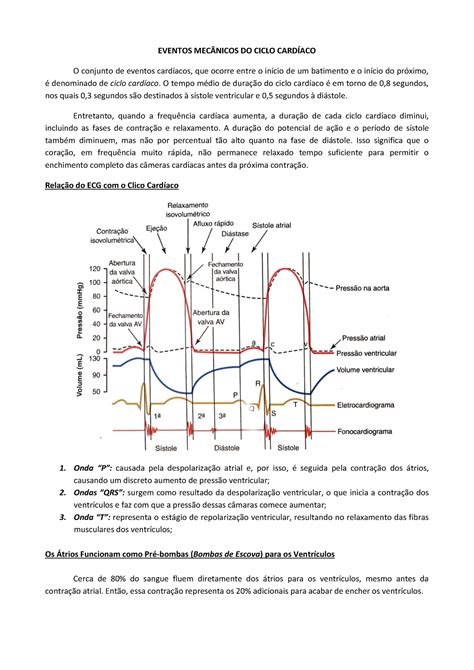 Ciclo Cardíaco Resumo Guyton e Hall Fisiologia medica 13 ed