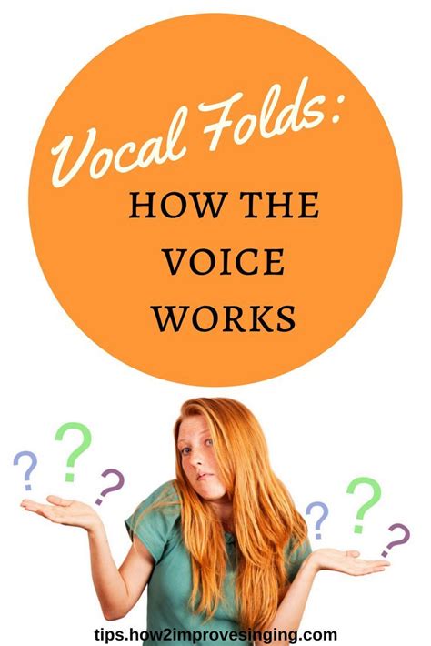 Vocal Folds How The Voice Works How 2 Improve Singing Singing