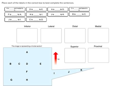 Solved Place Each Of The Labels In The Correct Box To Best Chegg