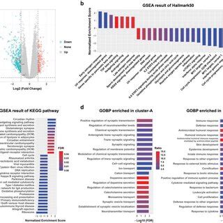 Differential Gene Expression Analysis And Functional Enrichment Between