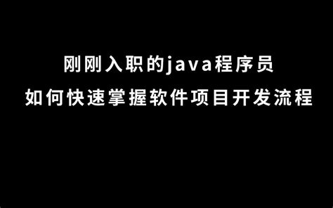 刚刚入职的java程序员如何快速掌握软件项目开发流程 哔哩哔哩 bilibili