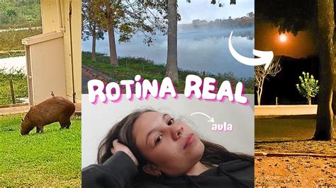 Rotina real de uma universitária Estudante de vet YouTube