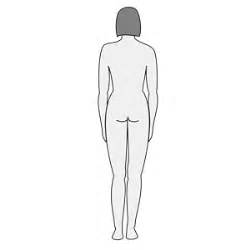 Female Body Back Outline Clip Art Library