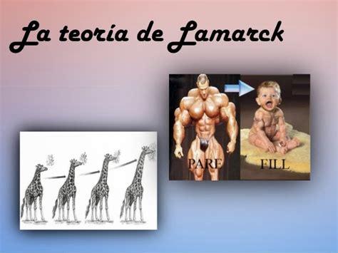 Ciencias De Joseleg La Segunda Ley De Lamarck La Herencia Blanda