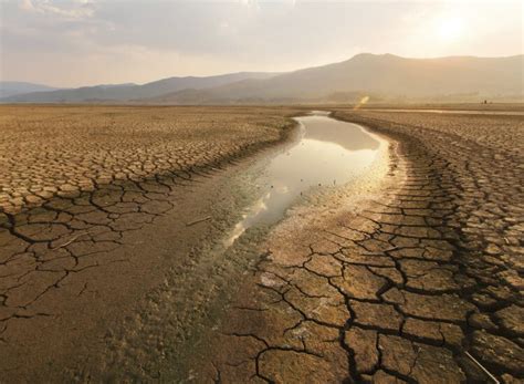 Agronegócio quais os impactos da crise hídrica no setor