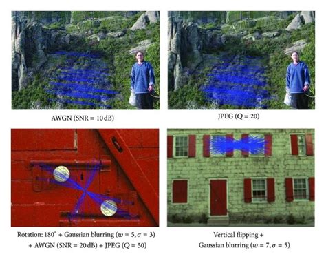 shown are the detection results of nonregular region duplication download scientific diagram