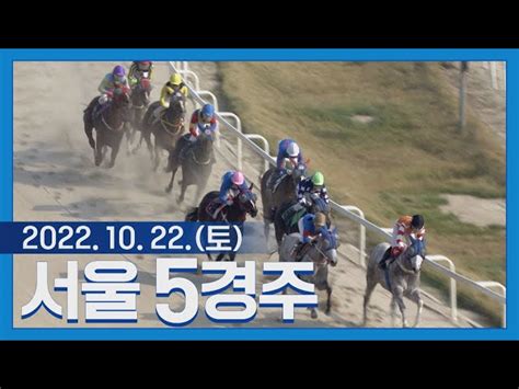 2022 10 22 토 서울 제5경주 오버애널라이즈 자마 하이러너 우승 한국경주마생산자협회 커뮤니티 공지사항