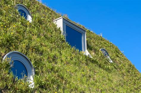 Beneficios De Los Techos Verdes No Solo Ambientales