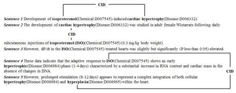 document level biomedical relation extraction using graph convolutional network and multihead