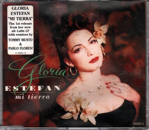 Mi Tierra Gloria Estefan Amazon Es CDs Y Vinilos