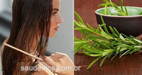 Benef Cios Do Alecrim Para O Seu Cabelo Dicas De Sa De
