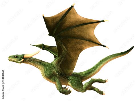 Flying Dragon Isolated On White Background D Illustration Stock