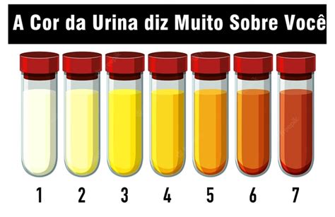 Cor da urina Saiba o que o xixi indica sobre sua saúdeDicas Rápidas