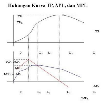 Fungsi Produksi Ivans Ardiansyah