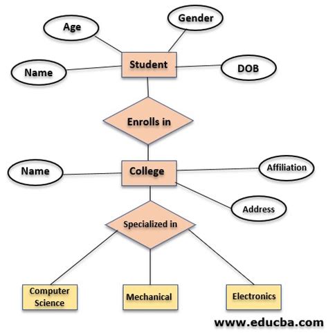 Entity Relationship Model Complete Guide To Entity Relationship Model