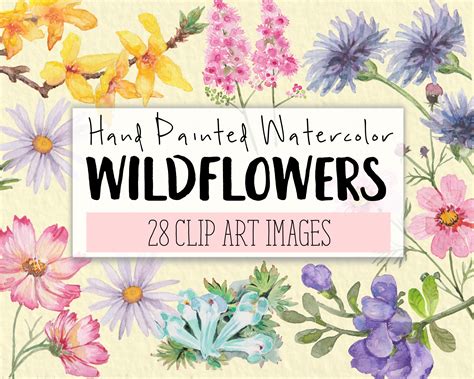 Wildflowers Watercolor Clipart COMMERCIAL 28 Wild Flowers Clip Art