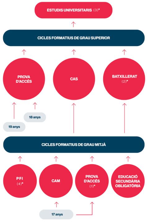 Explora Las Opciones De Estudio En Gencat Y Elige Tu Carrera Ideal