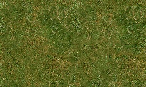 Absolutely Free Seamless Grass Textures Naldz Graphics